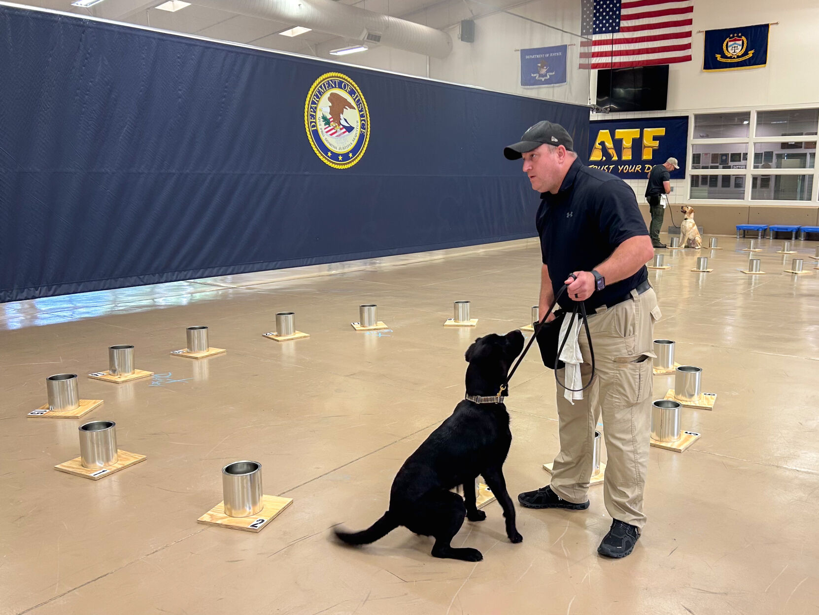 Pancake is Charleston Fire Department's new canine employee | Kanawha ...