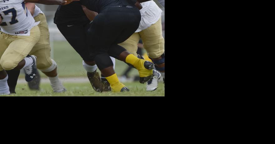 MEC football: Shepherd defeats WVSU 27-7 | MEC Sports | wvgazettemail.com