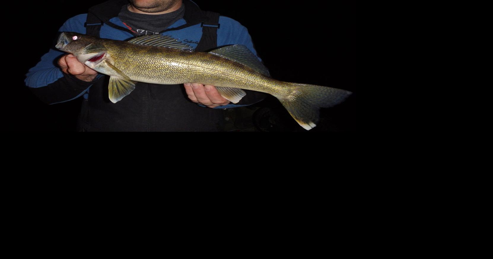 Winter walleye fishing can be well worth the misery | Hunting & Fishing ...