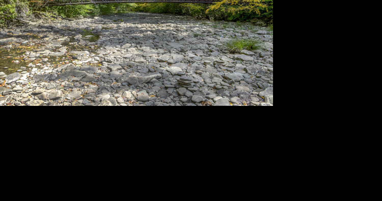 Richwood WV drought: Officials look for ways to keep water | News ...