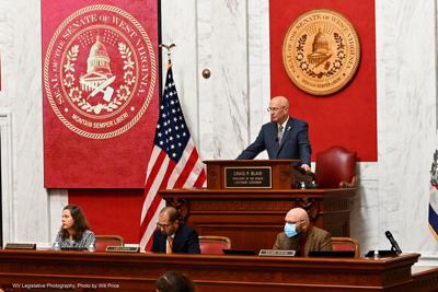 WV Senate confirms optometrist, gun dealer Stansbury and former School ...