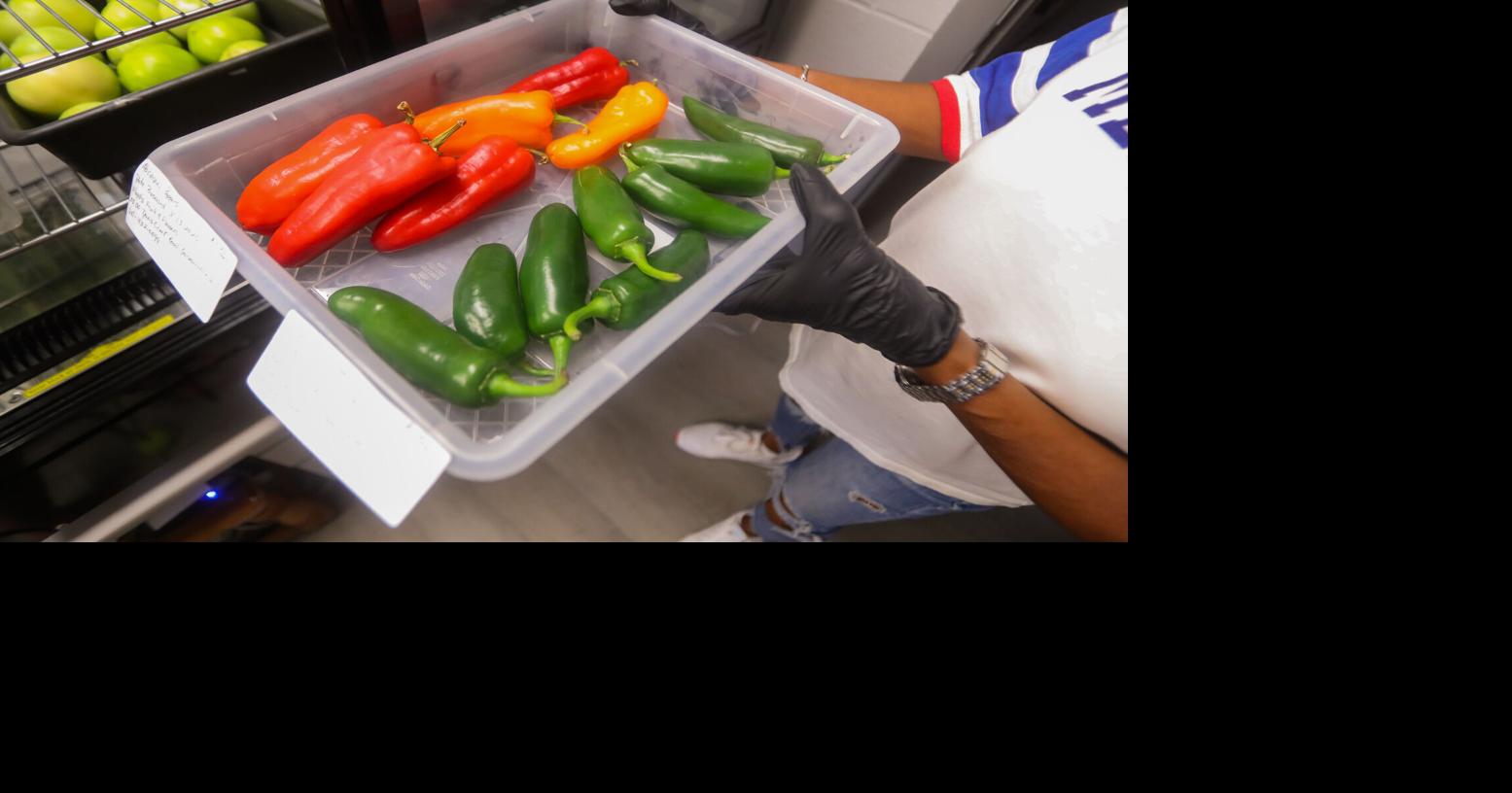 Snap Stretch available at Huntington's Unlimited Future Inc. | News ...
