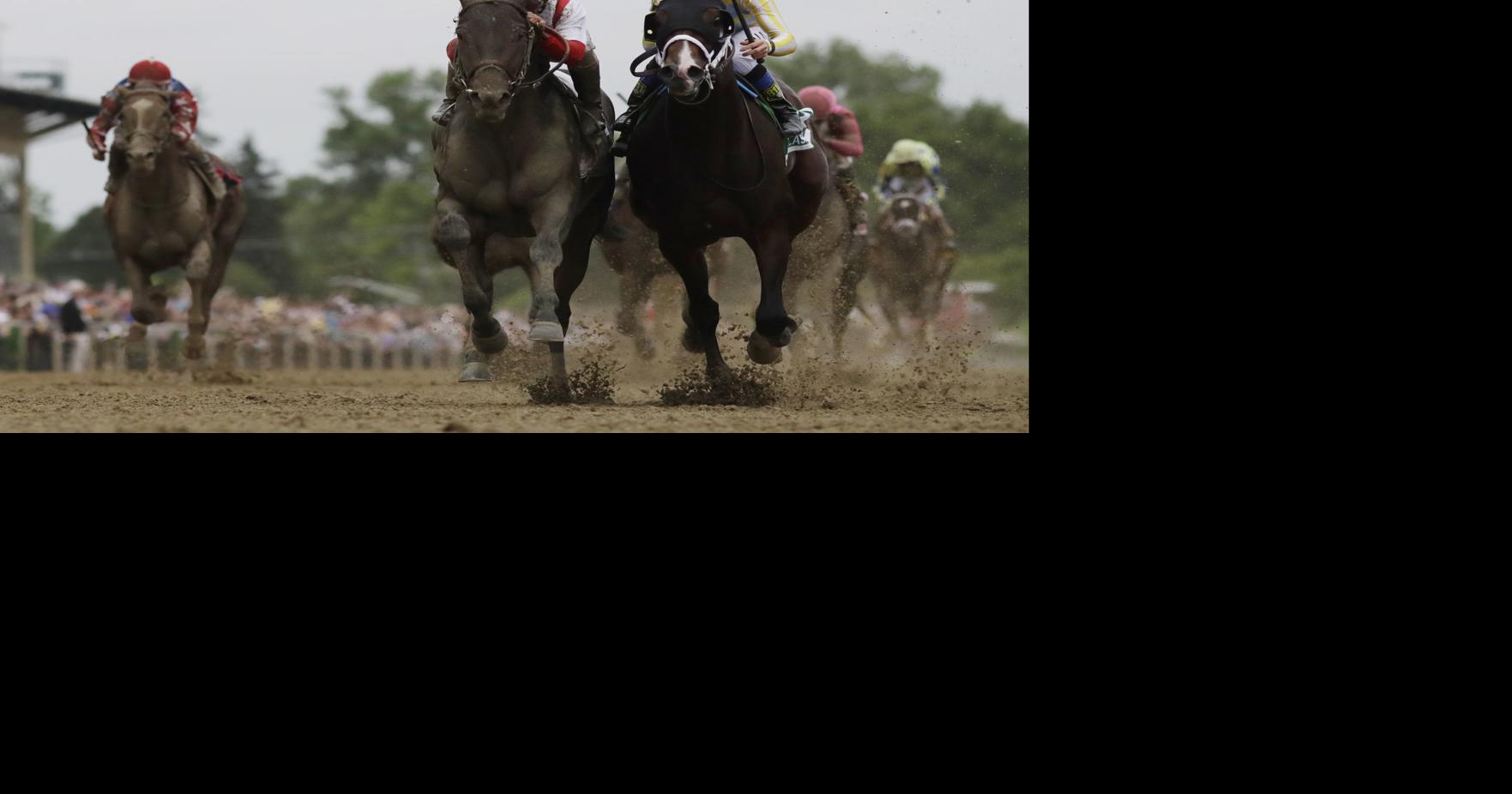 Racing Commission: State implementation of federal racetrack safety ...