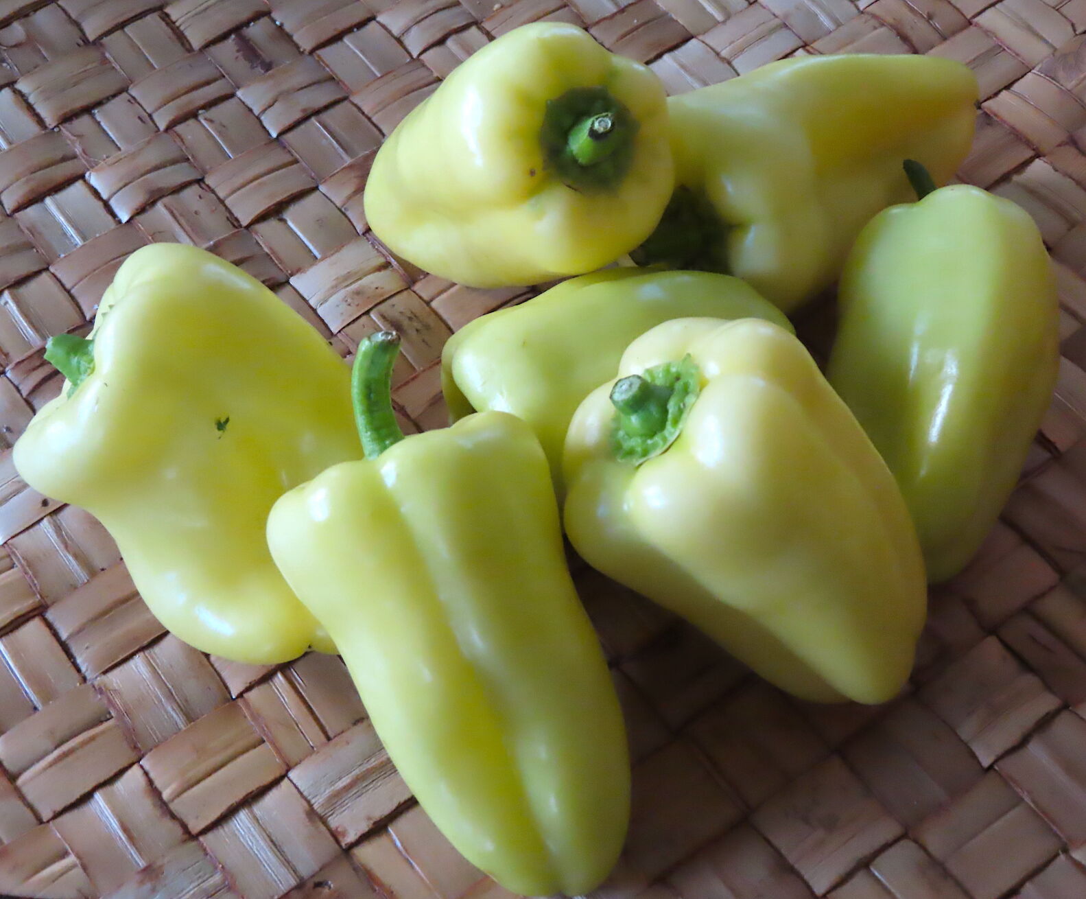 Farmer's Table: Gypsy Peppers | | wvgazettemail.com