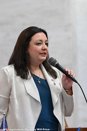 Sen. Laura Chapman, R-Ohio | | wvgazettemail.com