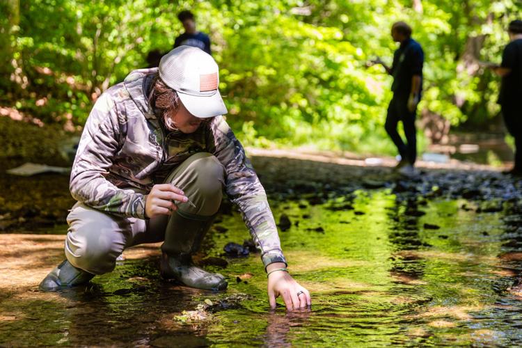 Spring Valley students test water quality for River Watchers ...