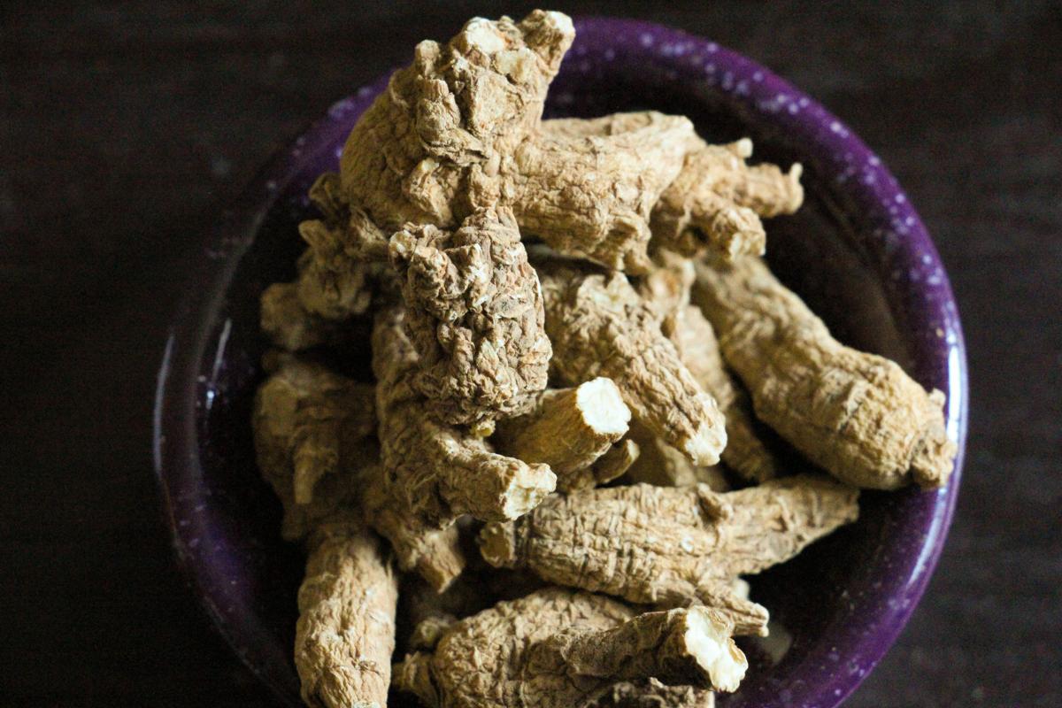 WV Culinary Team: Appalachia digs ginseng | Wv Culinary Team ...