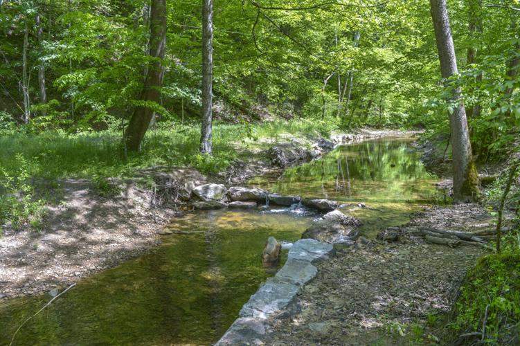 Trade of silty, 2-acre lake for mile-long trout stream now completed in ...