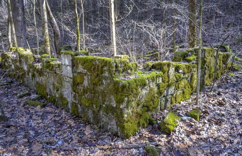 When its sawmill ran out of trees to process, Gorge hamlet of Hamlet ...