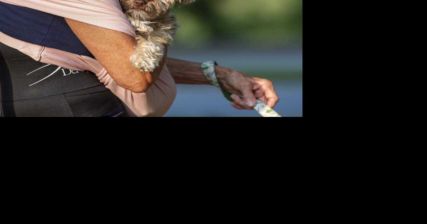 Laura Maddox and Daisy | | wvgazettemail.com