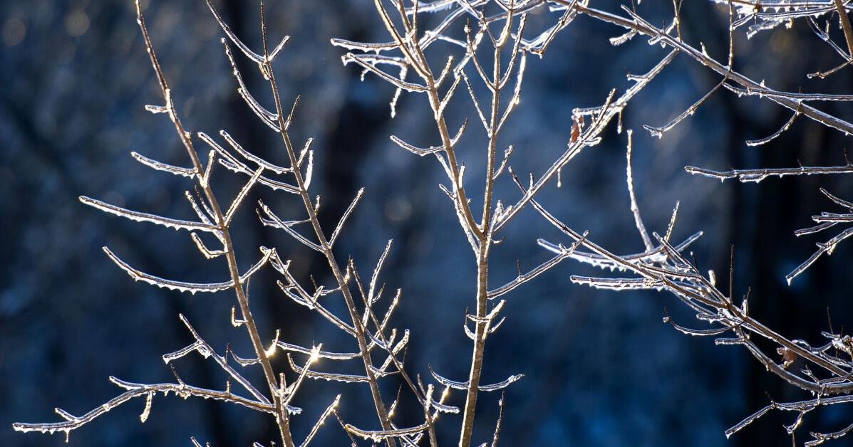 20250129-Cold Weather_004.JPG | | wvgazettemail.com