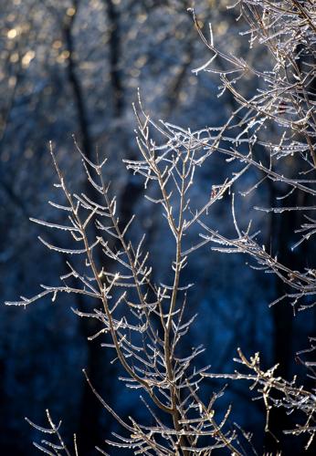 20250129-Cold Weather_004.JPG | | wvgazettemail.com