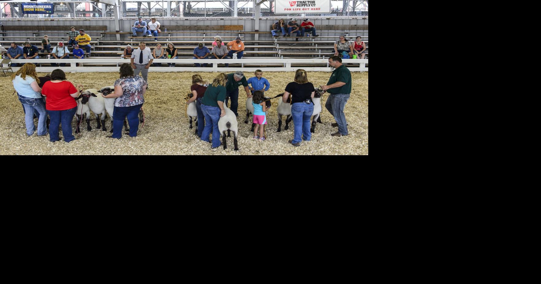 Food, family and fun at the State Fair of West Virginia | Arts ...