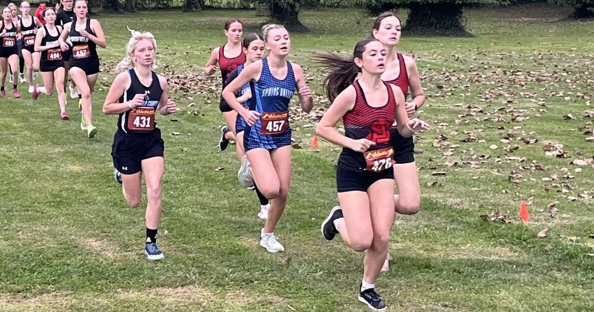 Prep cross country: Class realignment brings newcomers to state meet ...
