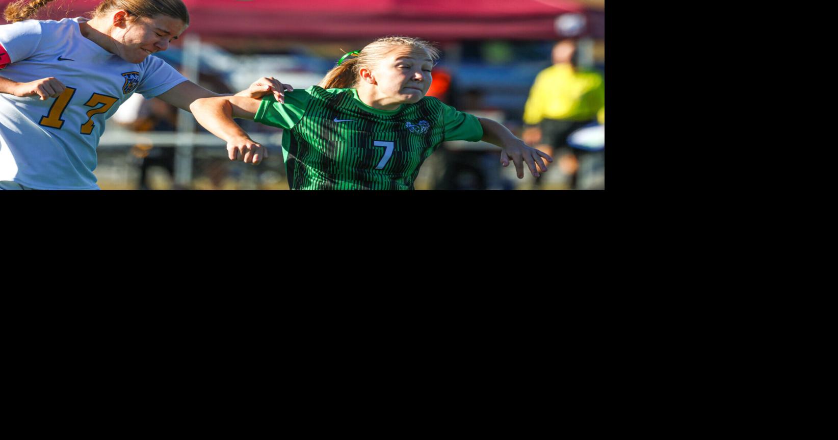 Prep girls soccer Class AA-A state final: Bees sting Irish to snap ...