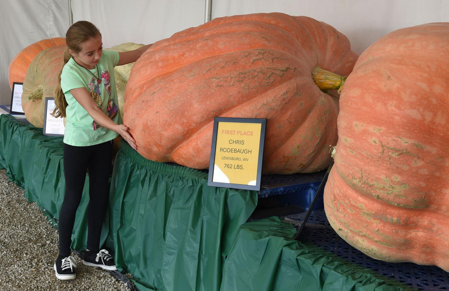 West Virginia Pumpkin Festival at Milton on Oct. 2-5, 2025 | Arts ...