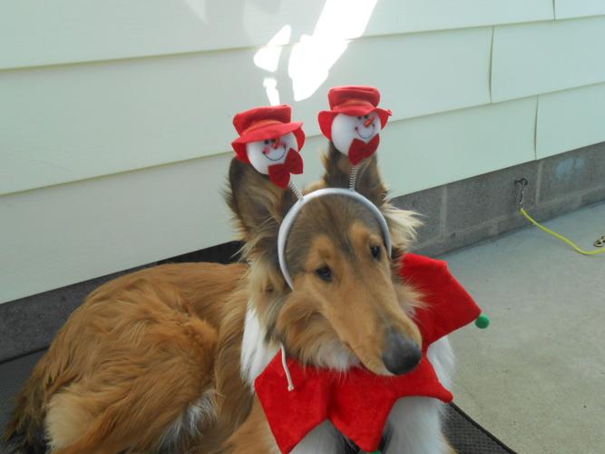 On the Town: Weekend, Dec. 23-24 | On the Town | wvgazettemail.com