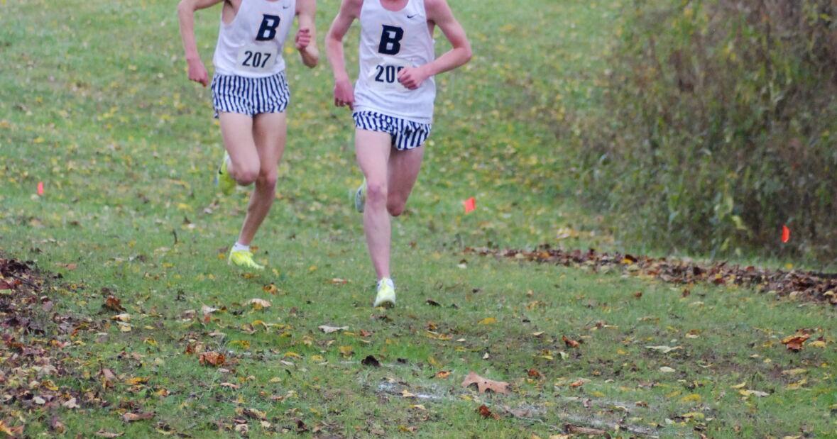 Prep cross country roundup: GW boys, SA girls, Buffalo boys win team ...