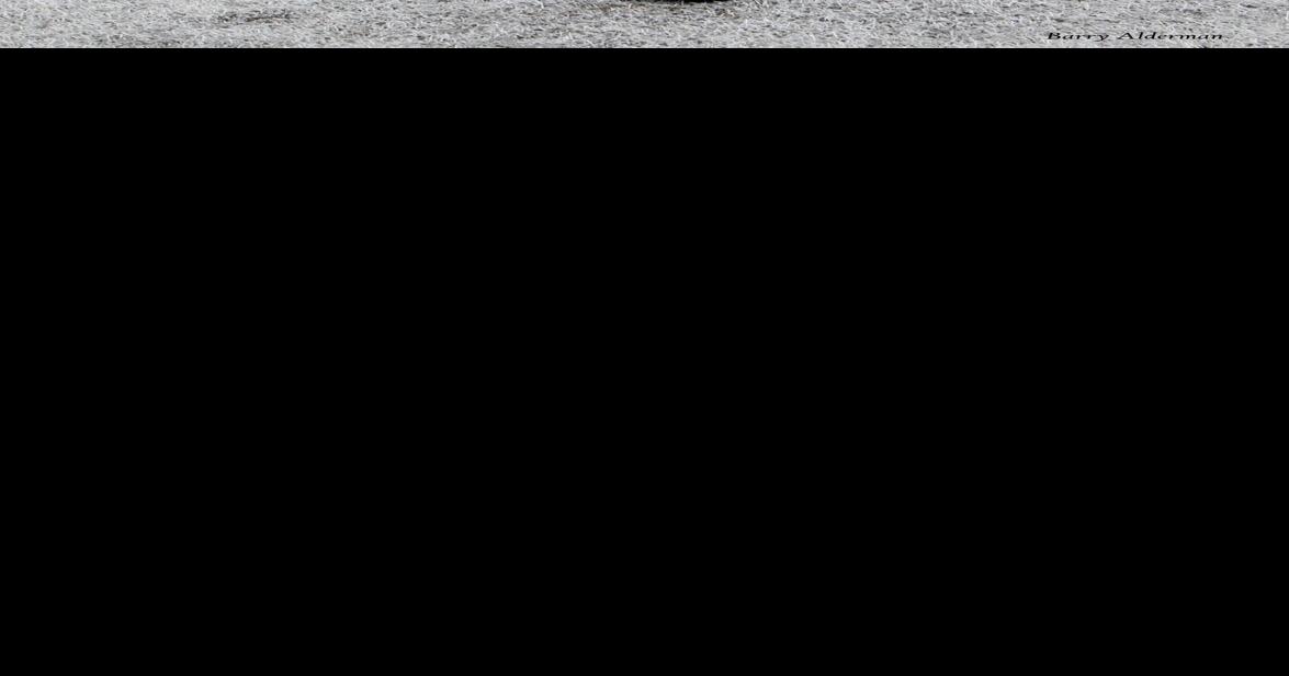 frazier.jpg | | wvgazettemail.com