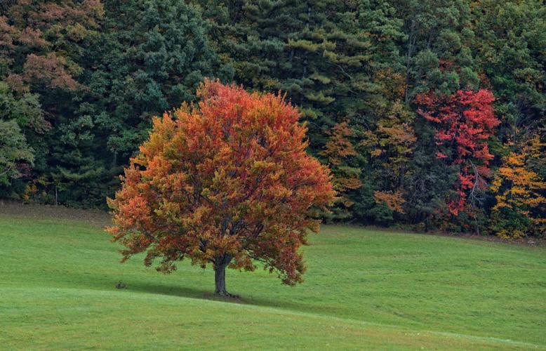 Photos: Scenes from fall in West Virginia | Wild & Wonderful West ...
