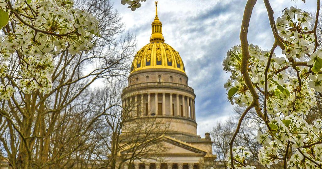 Election 2024: WV House of Delegates, Senate races | Election 2026 ...