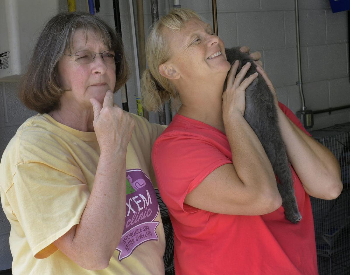 Innerviews: Animal activist driven by spay-neuter crusade | Innerviews ...