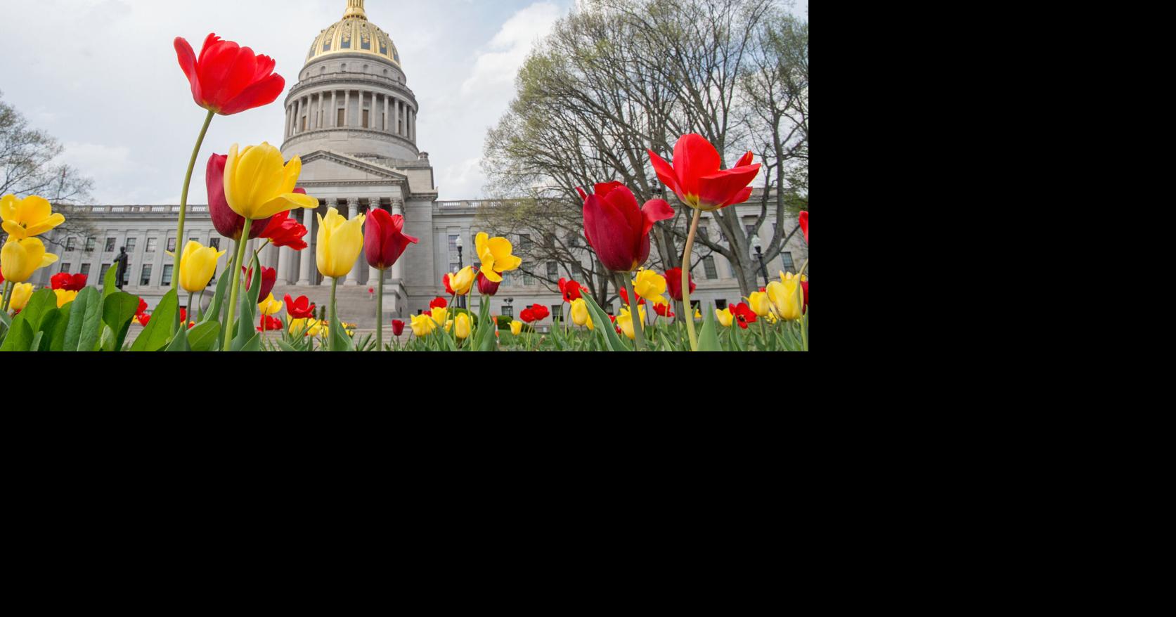 WV Legislature passes data centers bill despite cost worries | Legislative Session ...