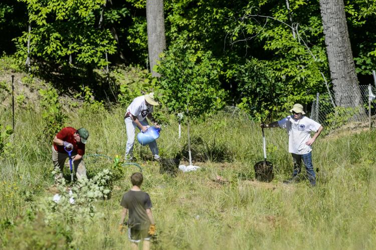 PHOTOS: Boy Scouts plant trees, shrubs at elementary school | News ...