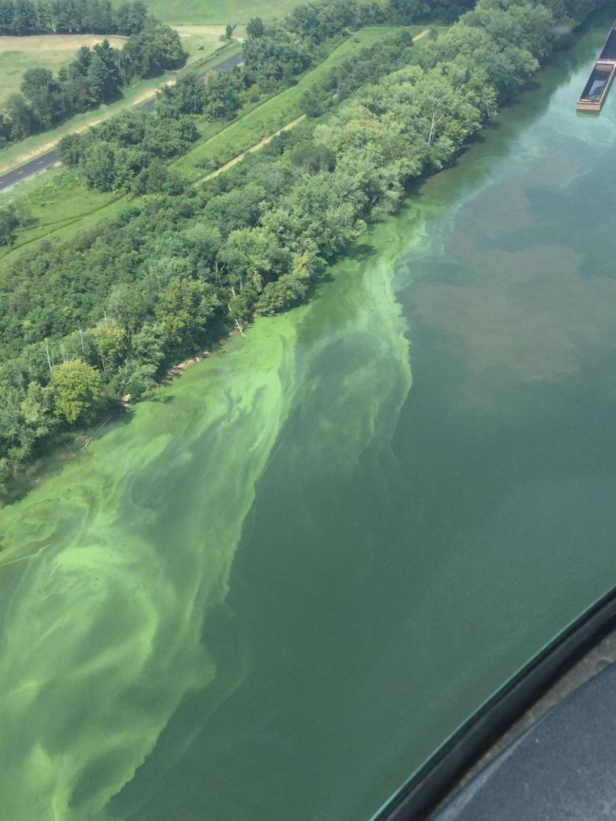 Residents cautioned to avoid Ohio River algae | Special Reports ...