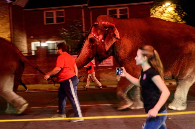 Photos: Circus elephants visit Charleston | From the Vault ...