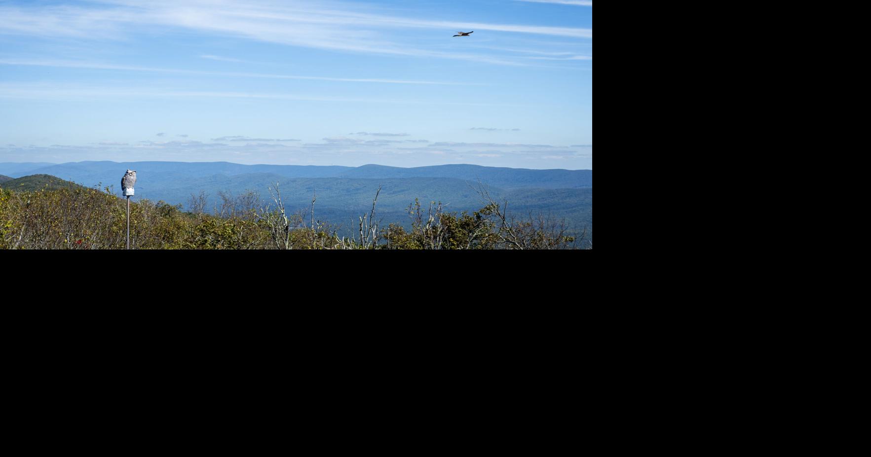 Hanging Rock Raptor Observatory_011.JPG | | wvgazettemail.com