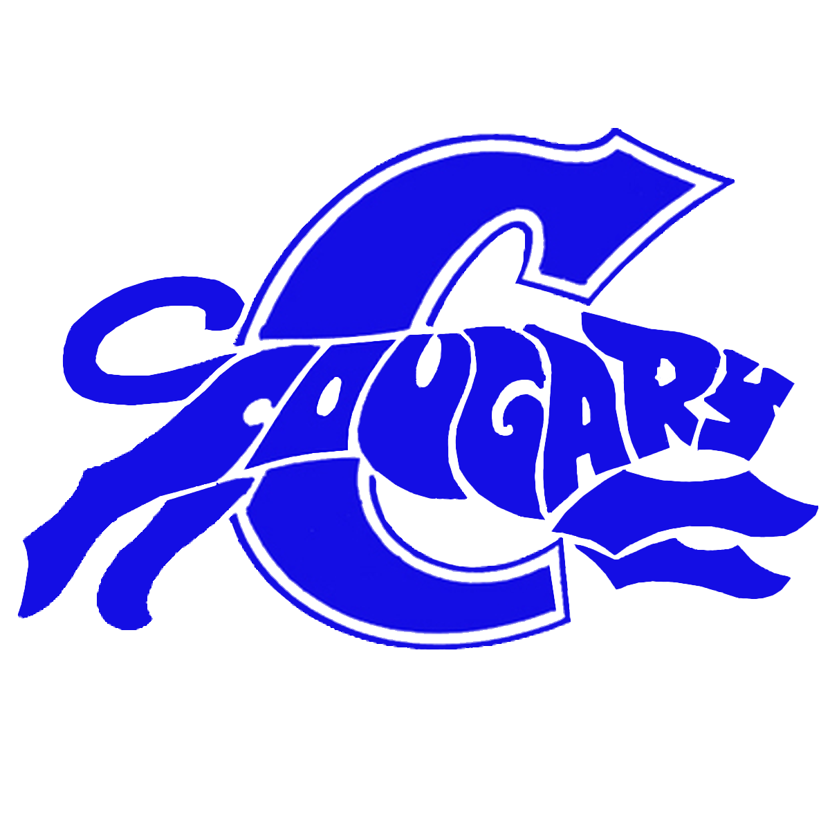 Chapmanville vs. South Charleston: Boys High School Basketball on HD ...