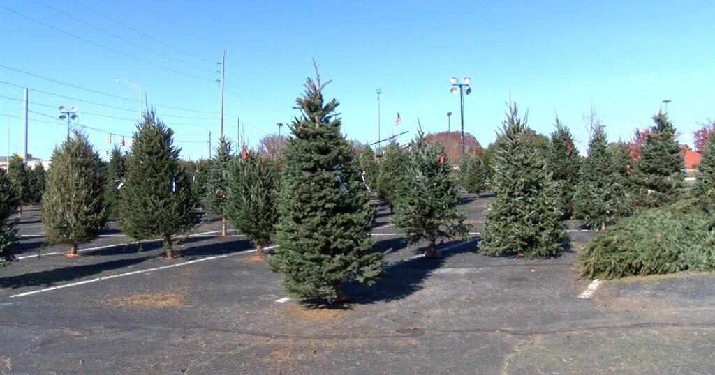 YMCA Men’s Club announces Christmas tree sale | Local News | wvua23.com