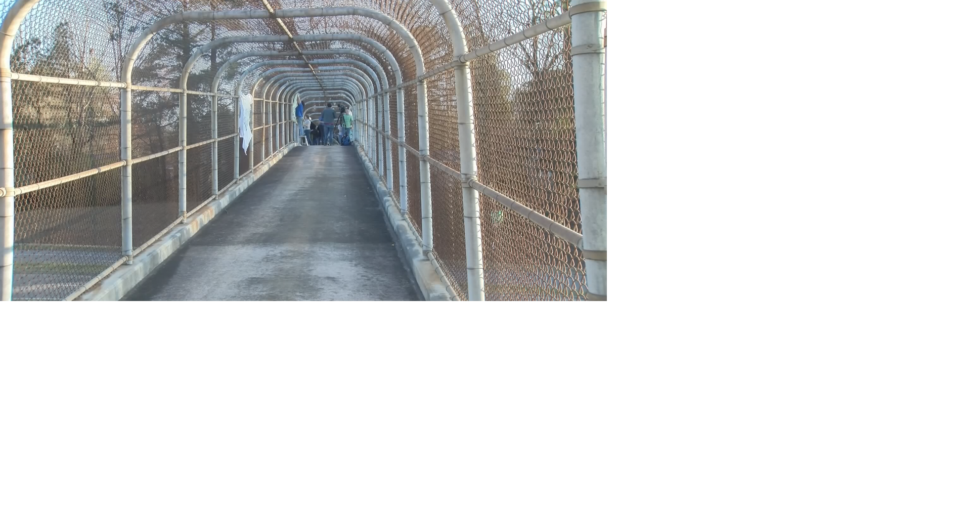 Tuscaloosa pedestrian bridge getting a makeover | News | wvua23.com