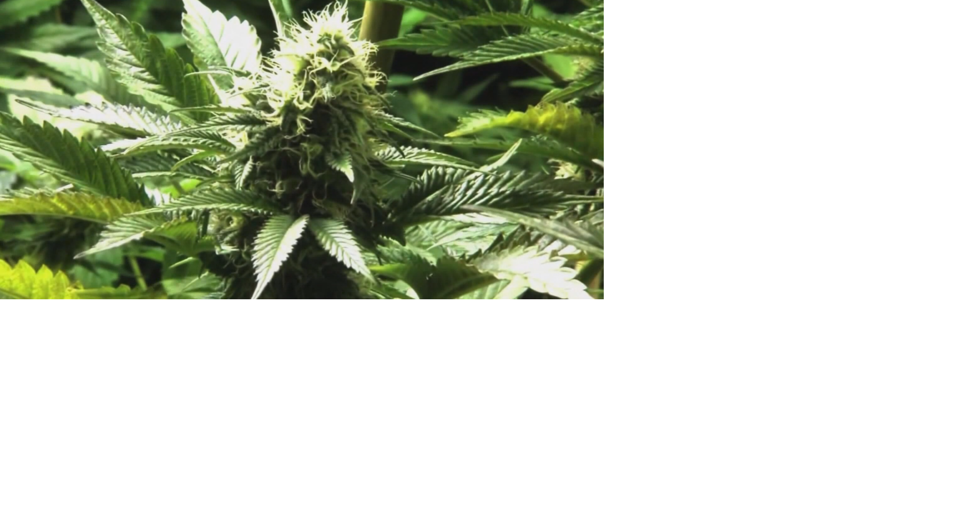 Alabama Court of Civil Appeals voids Temporary Restraining Order ...