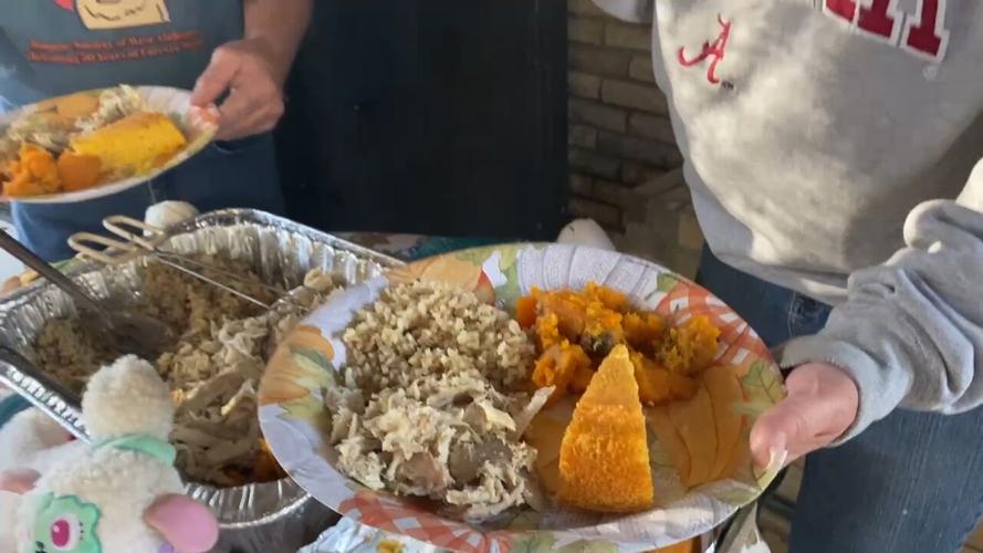 Humane Society celebrates Thanksgiving with dog-friendly dinner ...
