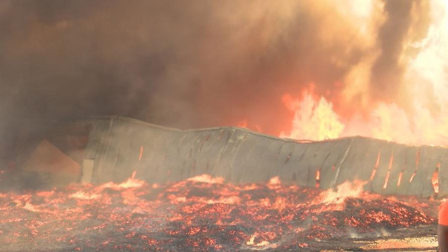 Massive Fire Destroys Pallet Company in Centreville | Archives | wvua23.com