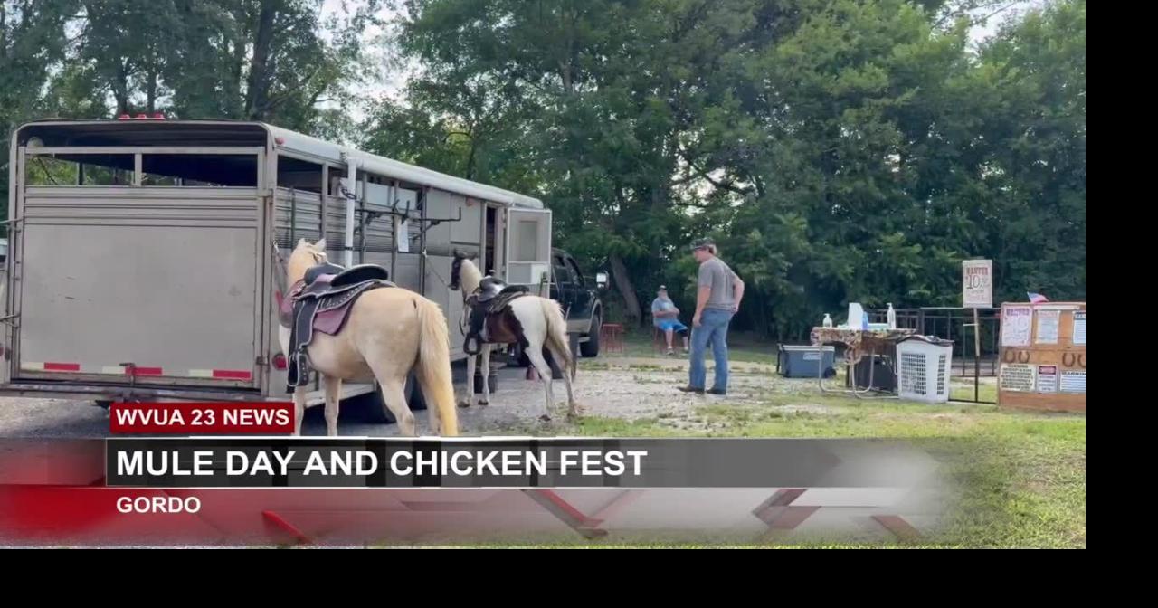 Gordo's Mule Day and Chicken Fest underway | Local News | wvua23.com