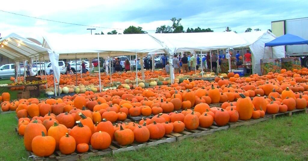 How extreme weather in the US may have affected the pumpkins you picked ...