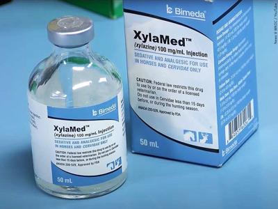 Animal sedative adds new suffering to opioid drug crisis, but is it ...