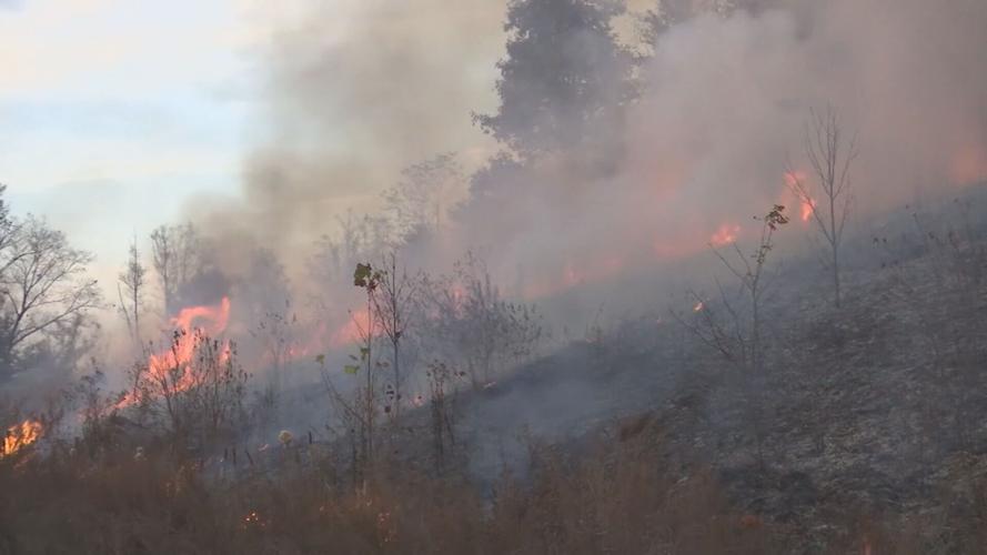 2 ALABAMA WILDFIRES UNDER INVESTIGATION FOR ARSON | Local News | wvua23.com