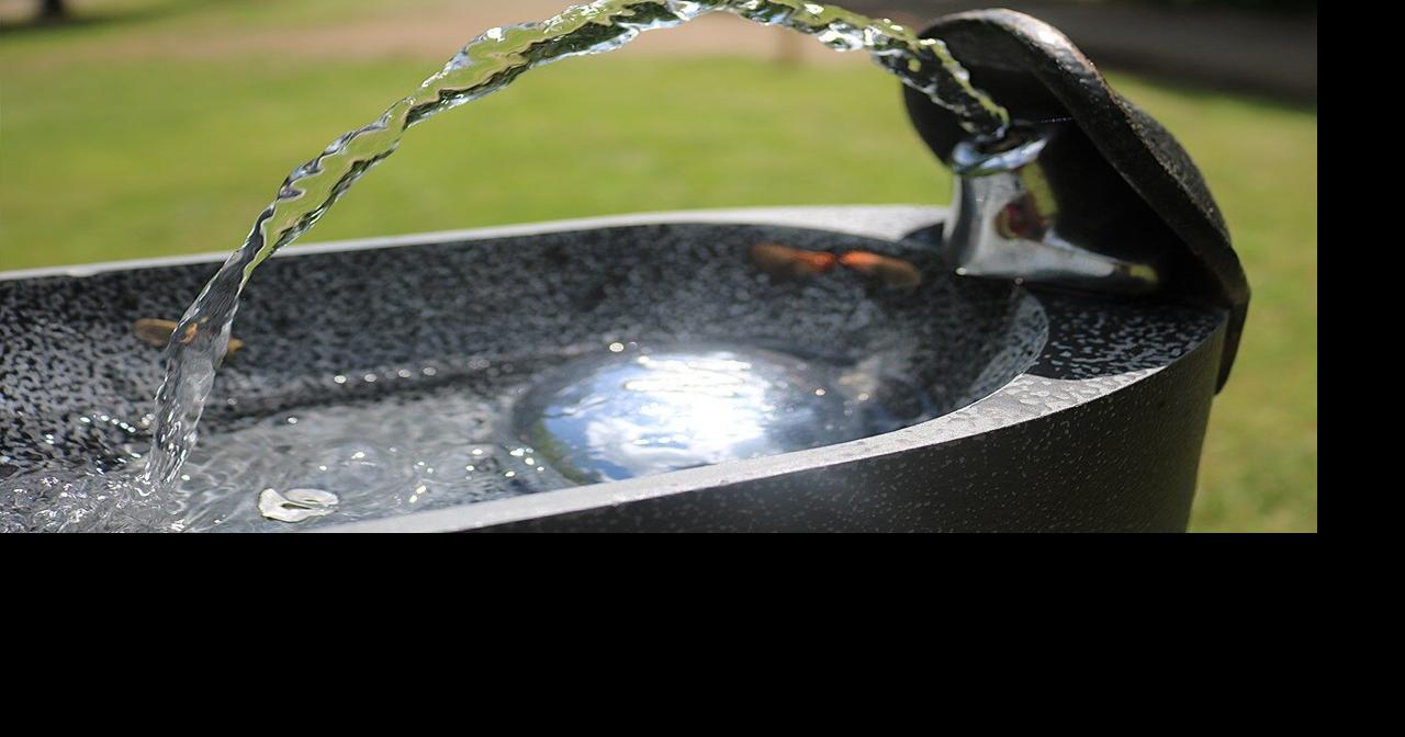 Your Personal Best: Game day hydration | Community Stories | wvua23.com