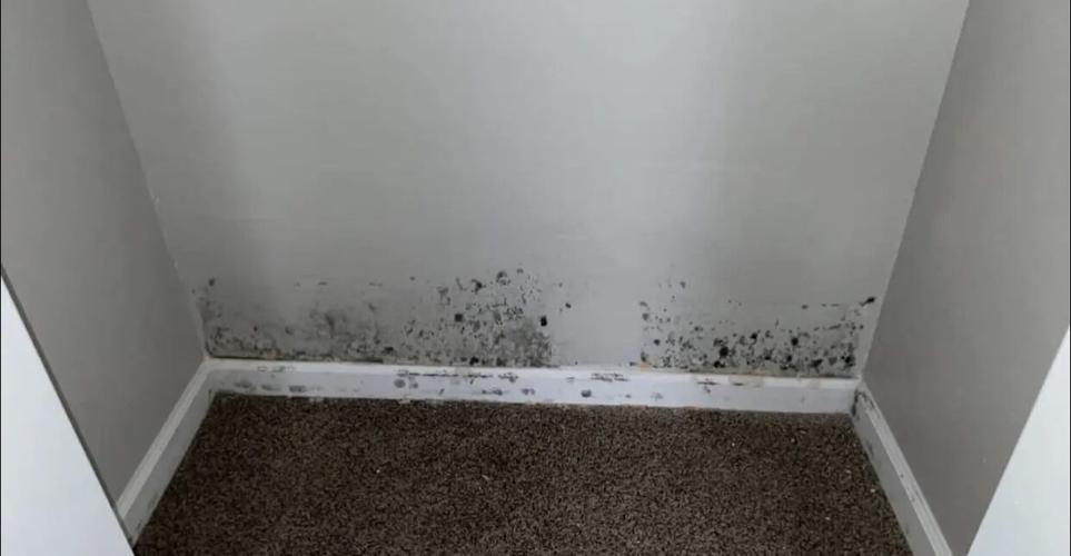 Apartment resident talks about bad housing conditions | Local News ...