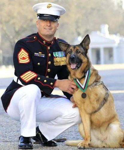 Grand Marshal spotlight: Lucca saved handler’s life ‘on and off the ...
