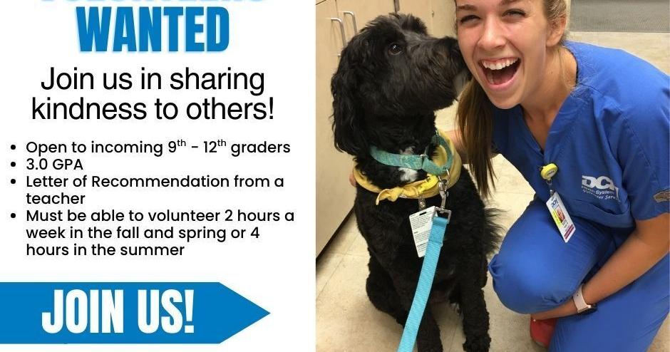 DCH Health System accepting Junior Volunteer applications | News ...