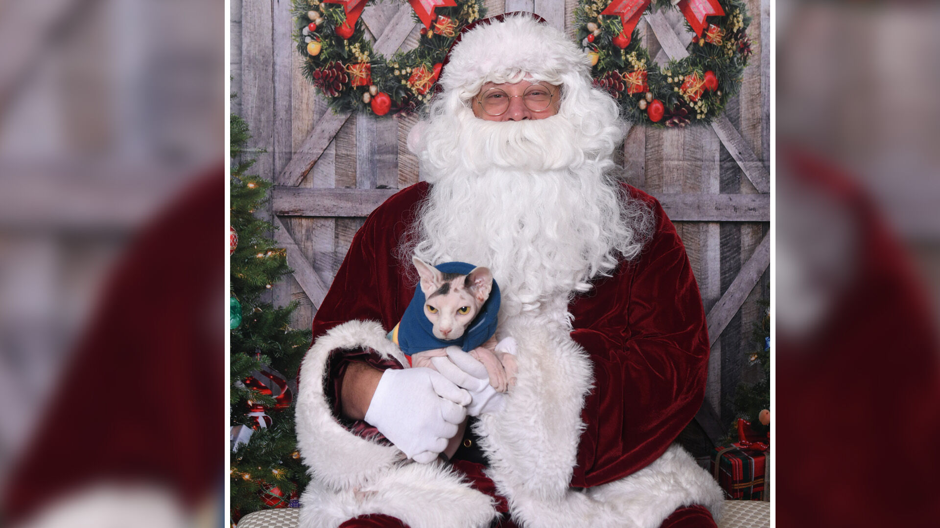 Humane Society of West Alabama offering pet photos with Santa | Local ...