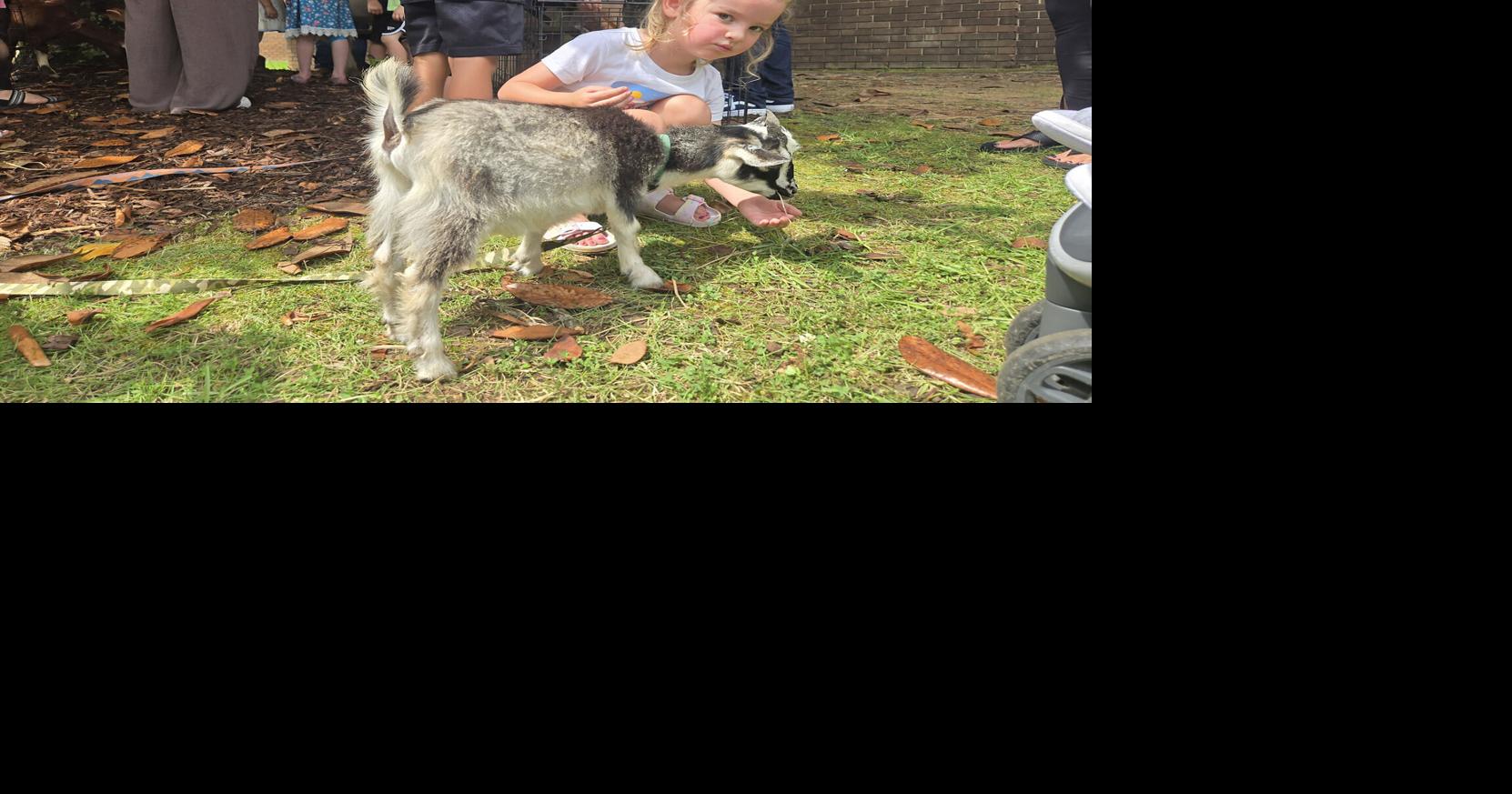 Barnyard animals take over Tuscaloosa Public Library Friday for a-maize ...