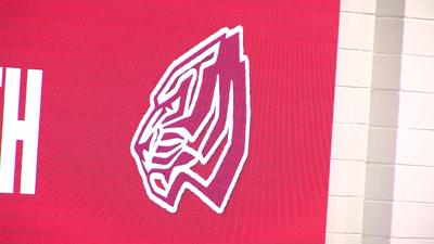 Cochran hires two more former Alabama football players | Sports ...