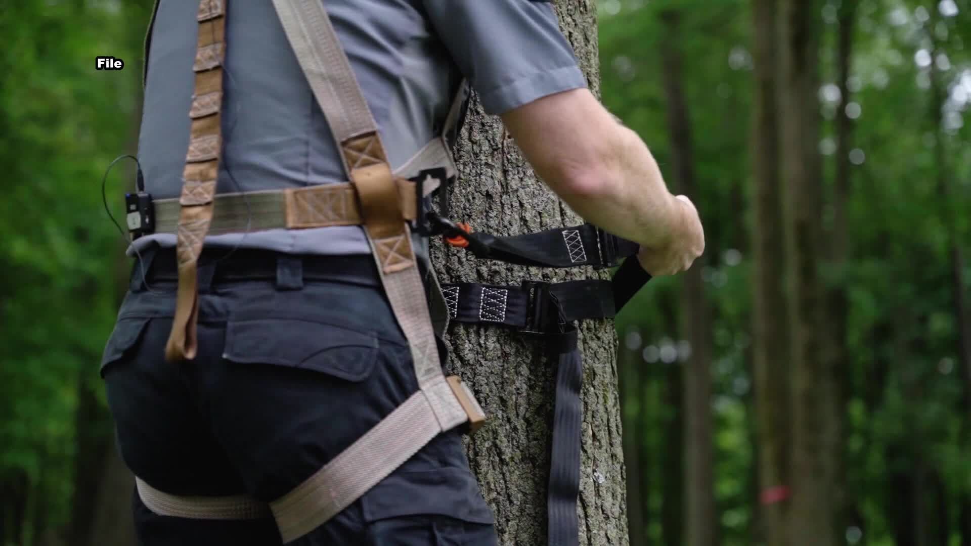 DNR reminds hunters to check tree stands | Coulee Region News | wxow.com