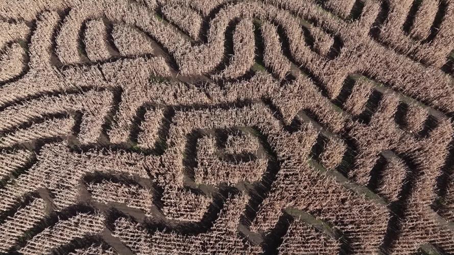 Saturday is the last day of fall fun at Hidden Trail Corn Maze | News ...